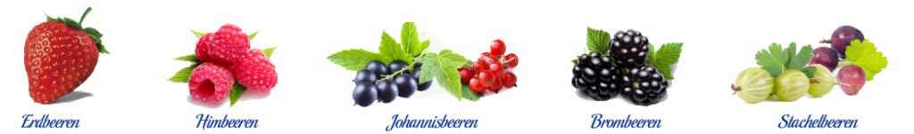 Johannisbeeren | Erdbeeren Levenig - Frisch geerntet. Beste Beeren. 100 ...
